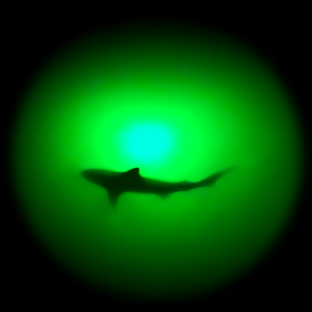 What is a Green Blob? | Green Blob Outdoors