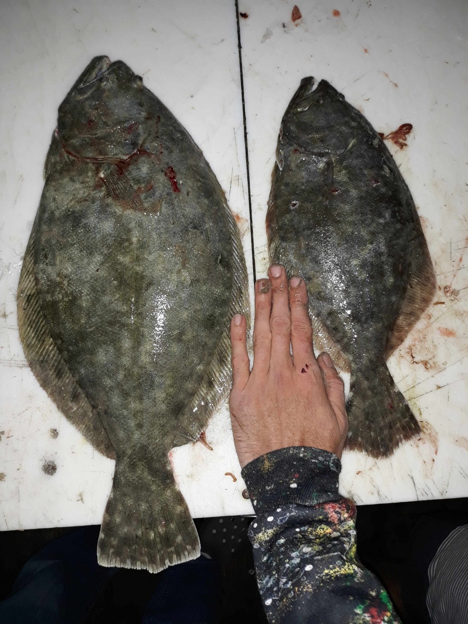Home All Green Blob Outdoors LED Flounder Gigging Bully Netting Light