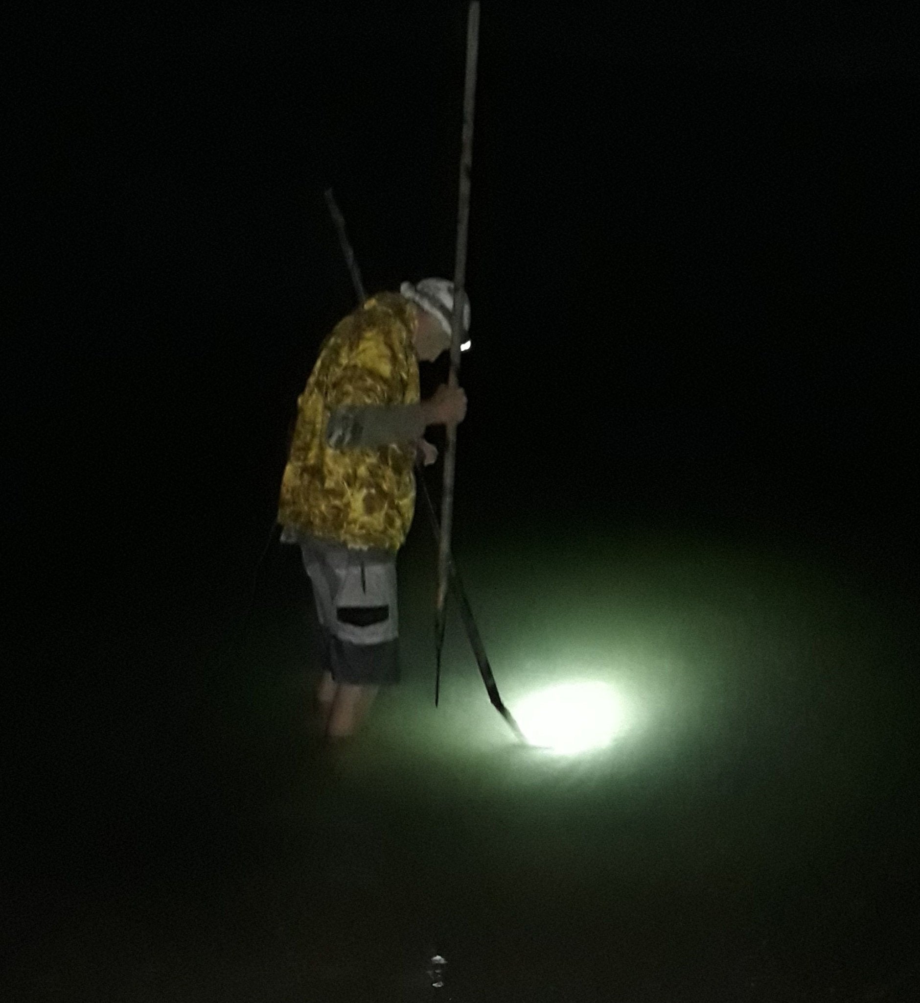 Home All Green Blob Outdoors LED Flounder Gigging Bully Netting Light